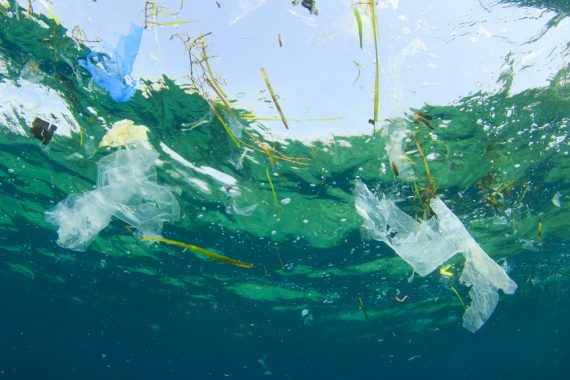 Stormwater Runoff: Effects and Impact on the Enviornment - American Oceans