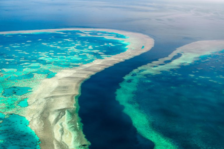 Why is the Great Barrier Reef Important? - American Oceans