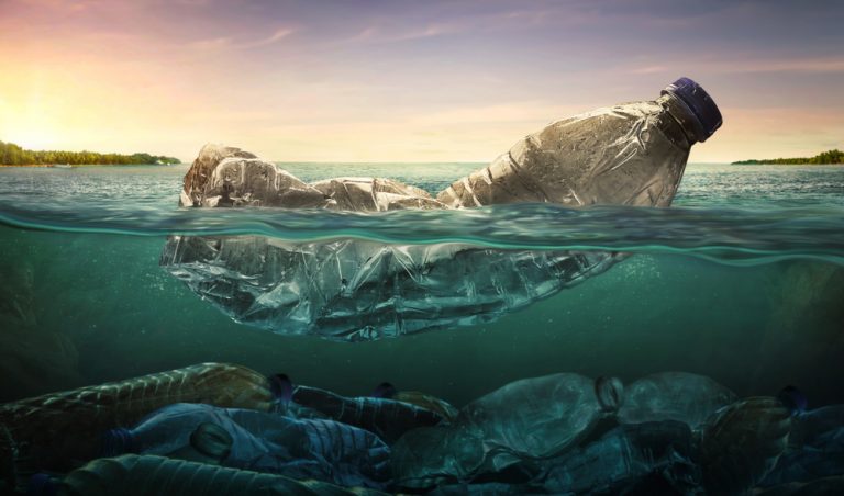 What Happens to Plastic in the Ocean?