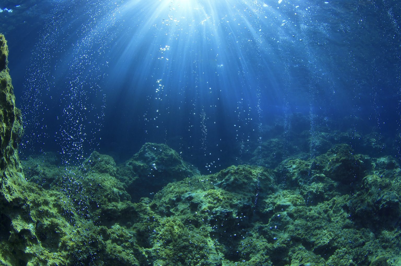 How Much Oxygen Comes From The Ocean American Oceans How Much Oxygen Comes From The Ocean American Oceans