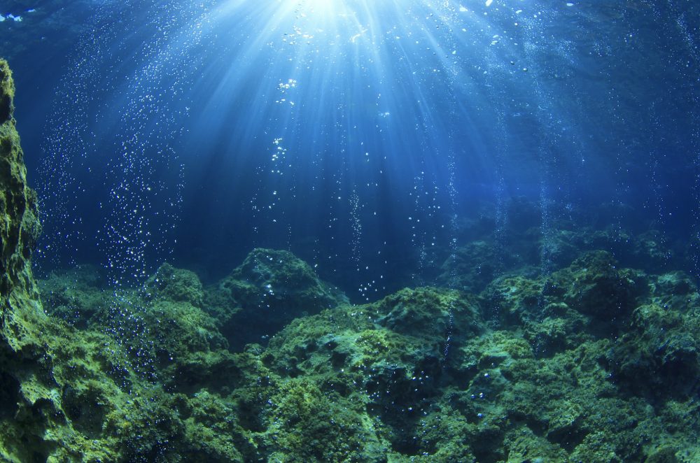 How Much Oxygen Comes From The Ocean American Oceans How Much Oxygen Comes From The Ocean American Oceans