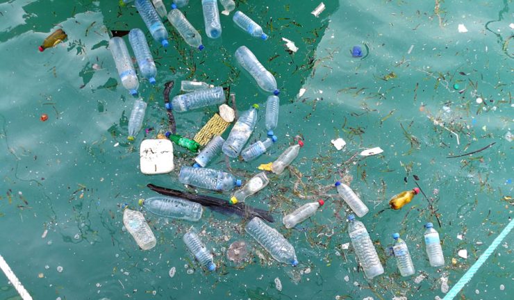 What's the Most Polluted Ocean on Earth?
