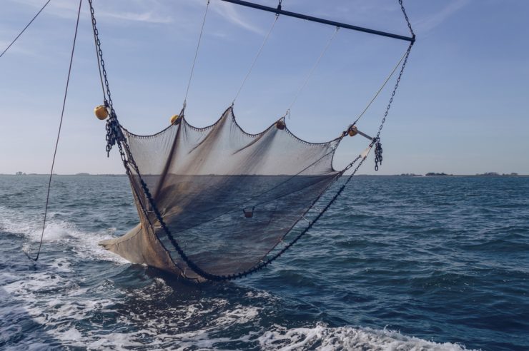 Greenpeace Uses Boulders to Prevent Trawling