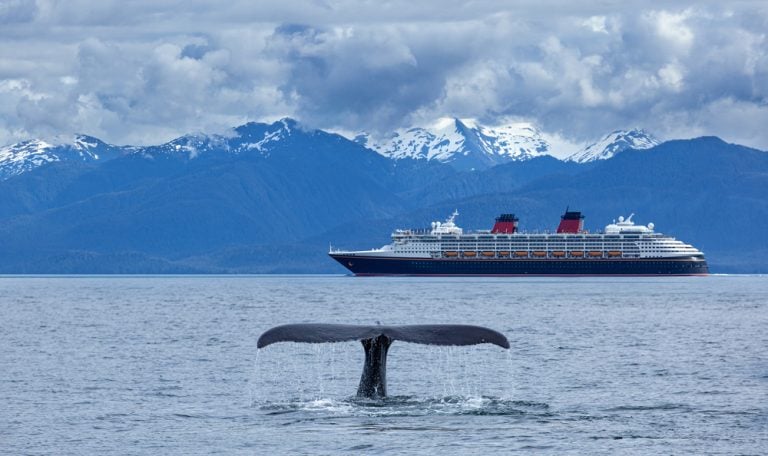 Blue Whale Population Facts