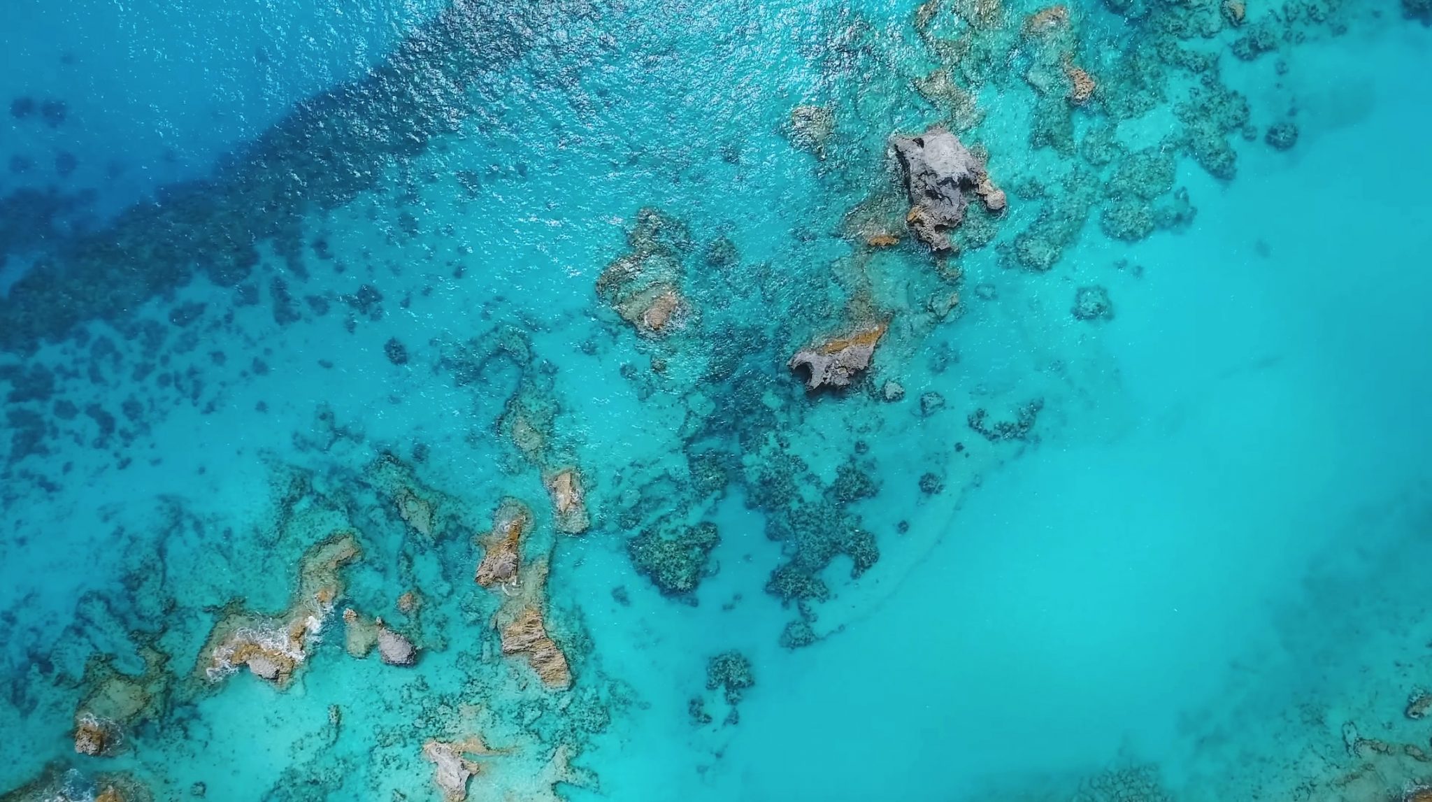 What Is the Oldest Coral Reef?