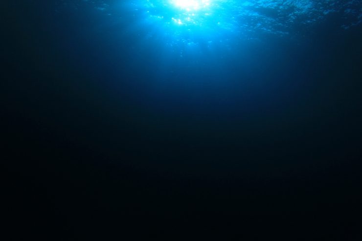 What Is Halocline?