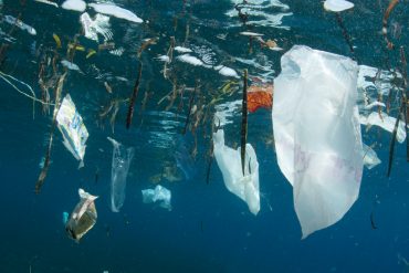 Guide to the Great Pacific Garbage Patch - American Oceans