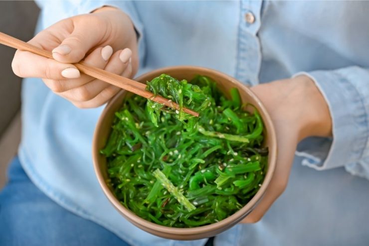 Kelp vs Seaweed: Unveiling the Key Differences and Benefits