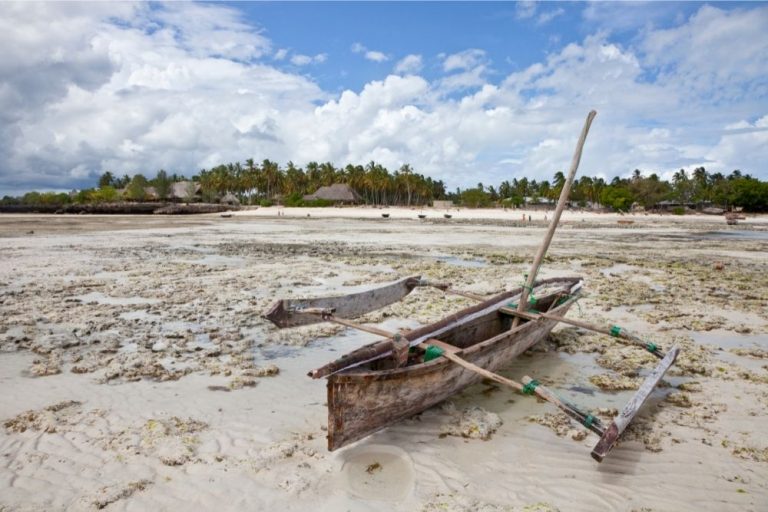 What Are Tides? A Guide to High and Low Tide
