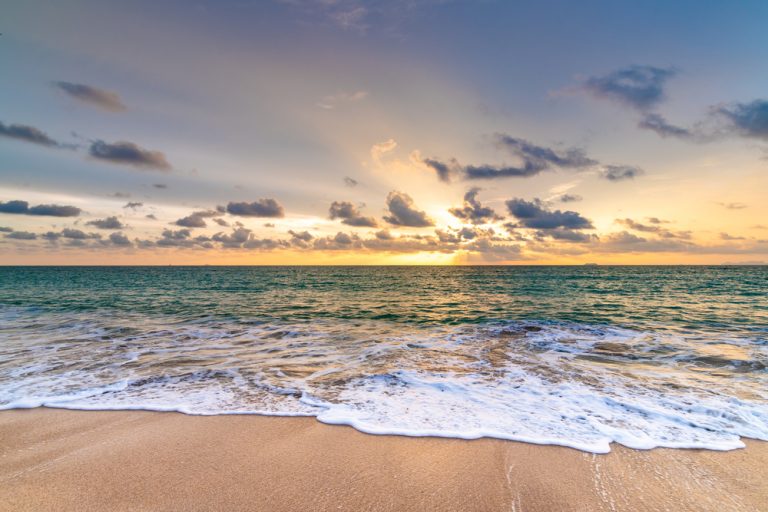 How Humans Impact the Ocean & How We Can Help - American Oceans
