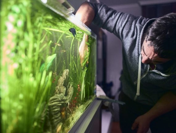 Marine Biology Jobs to Get With Your Degree - American Oceans