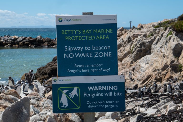 What is a Marine Protected Area? - American Oceans