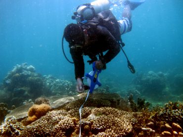 The Difference Between Oceanography and Marine Biology