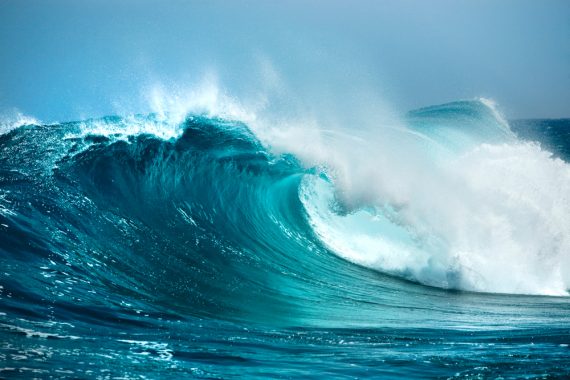 Types of Waves in the Ocean