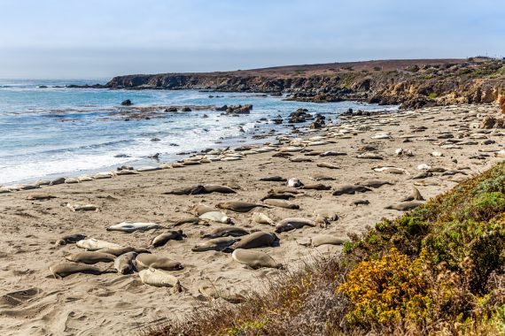 What is a Marine Protected Area? - American Oceans