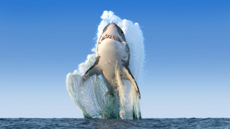Fascinating Shark Mythology
