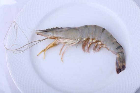 Can You Eat Shrimp Tails?
