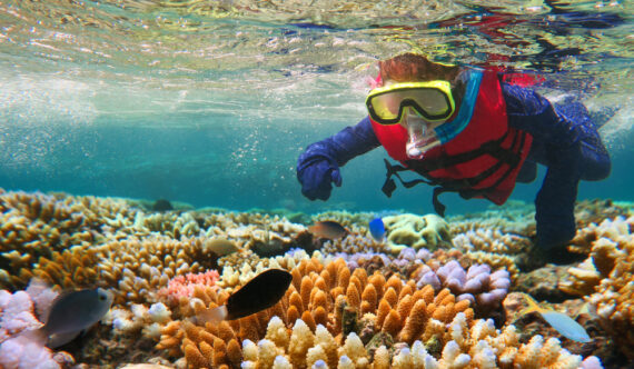 How Does Snorkeling Work?