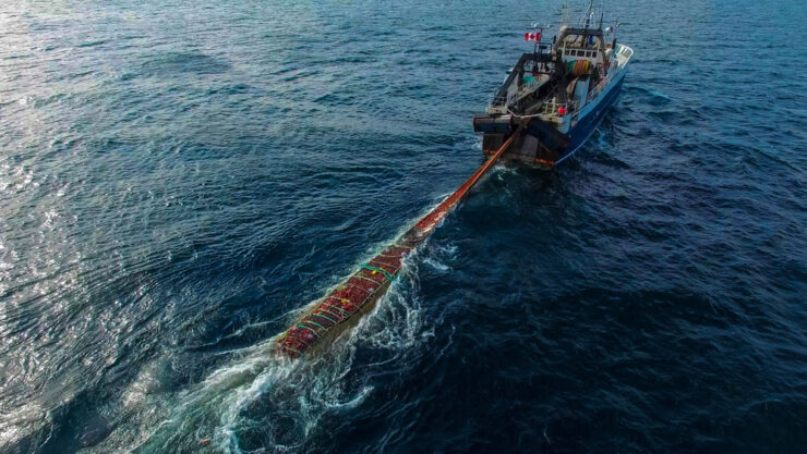 Trawling - The Controversial Fishing Method - American Oceans