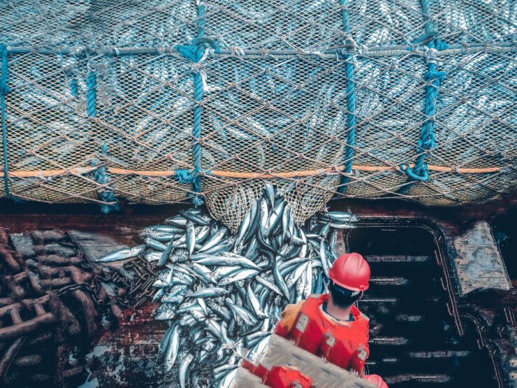 Trawling - The Controversial Fishing Method - American Oceans
