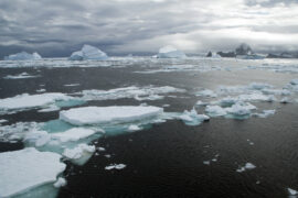 10 Largest Oceans and Seas on Earth - American Oceans