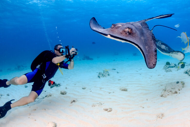 Biggest Stingray Ever Recorded