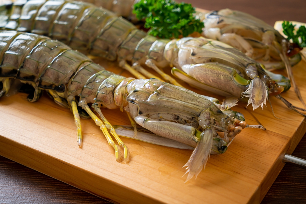 Mantis Shrimp Injury Mantis Shrimp Injury