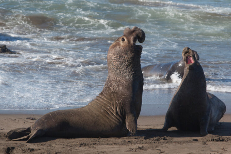What Are The Different Types of Seals