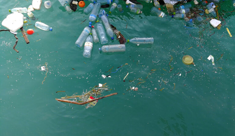 How Many Pounds of Trash in the Ocean: A Global Crisis Explored ...