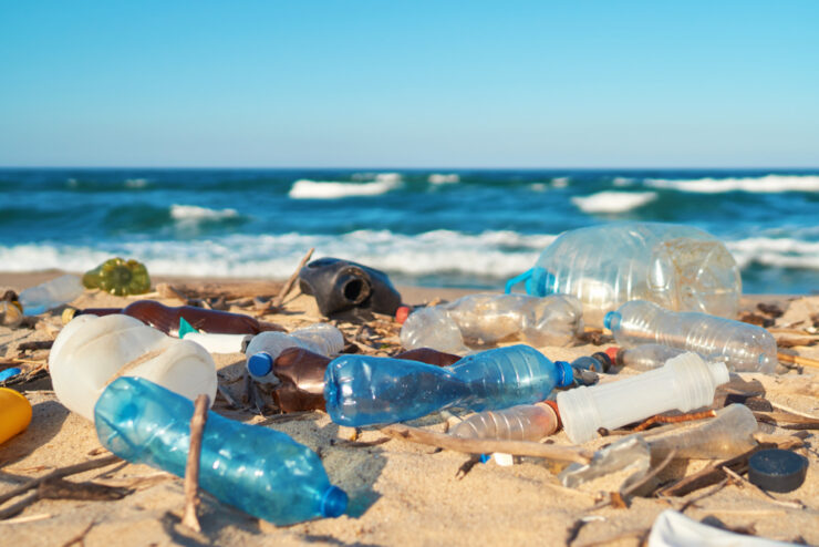 How Many Pounds of Trash in the Ocean: A Global Crisis Explored ...
