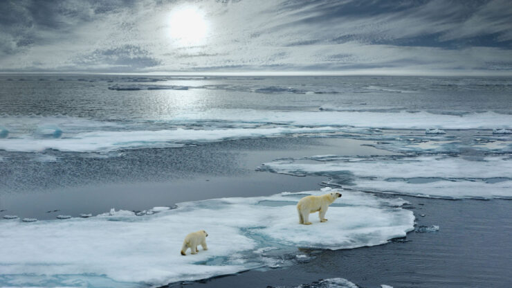 Arctic Ocean Facts: Essential Insights and Key Discoveries