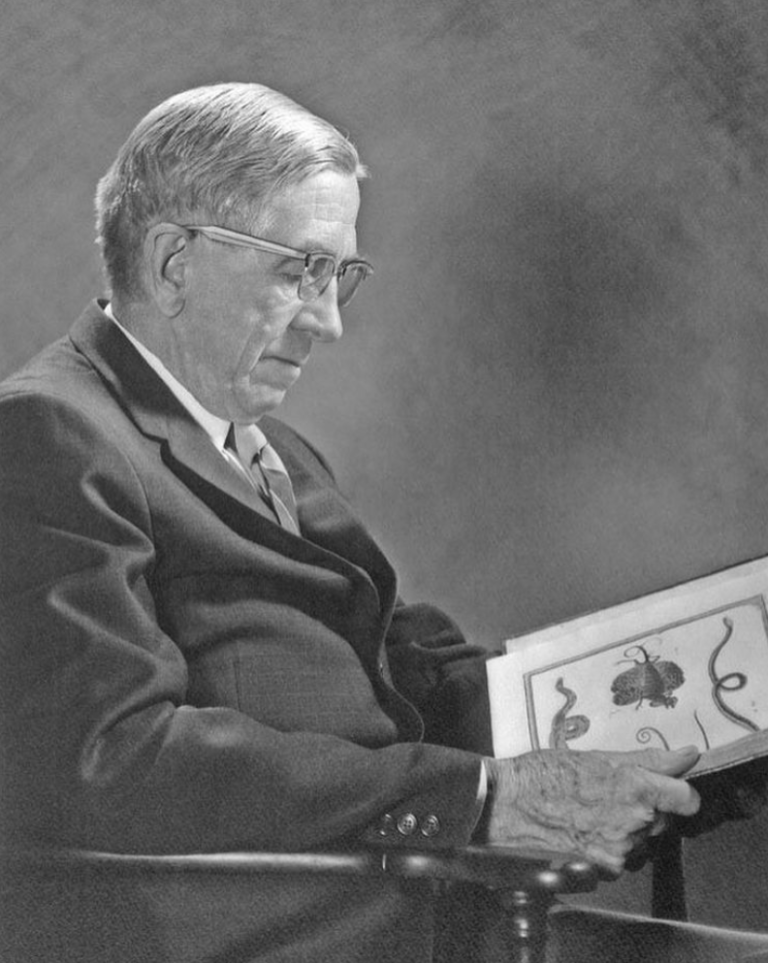 6 Famous Marine Biologists to Know - American Oceans