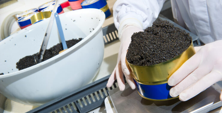 Sturgeon Caviar Facts