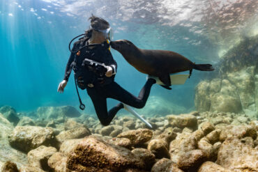 Can You Scuba Dive While Pregnant?