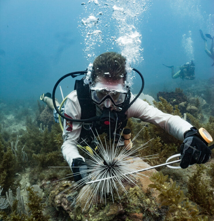 The Difference Between Oceanography and Marine Biology
