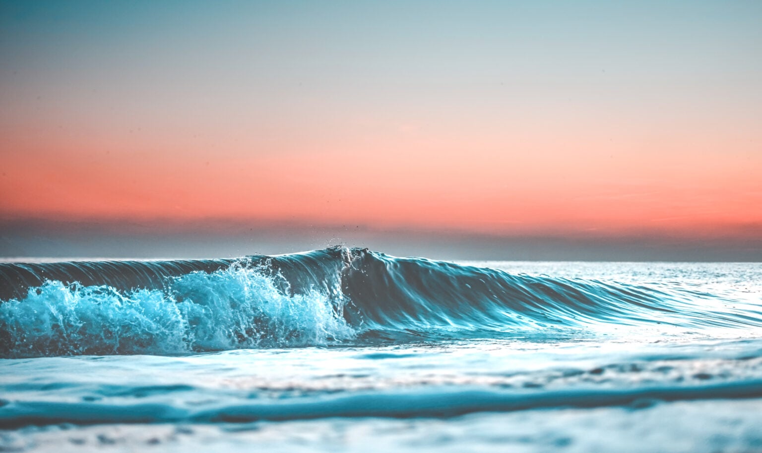 Types of Waves in the Ocean