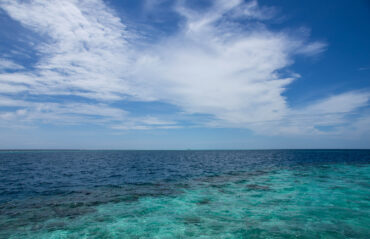 Why is the Ocean Changing Color?