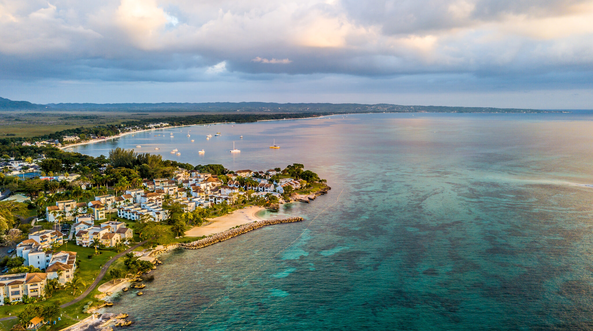 Why is the Ocean Changing Color?