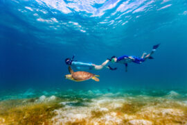 Can You Snorkel Without Knowing How to Swim?