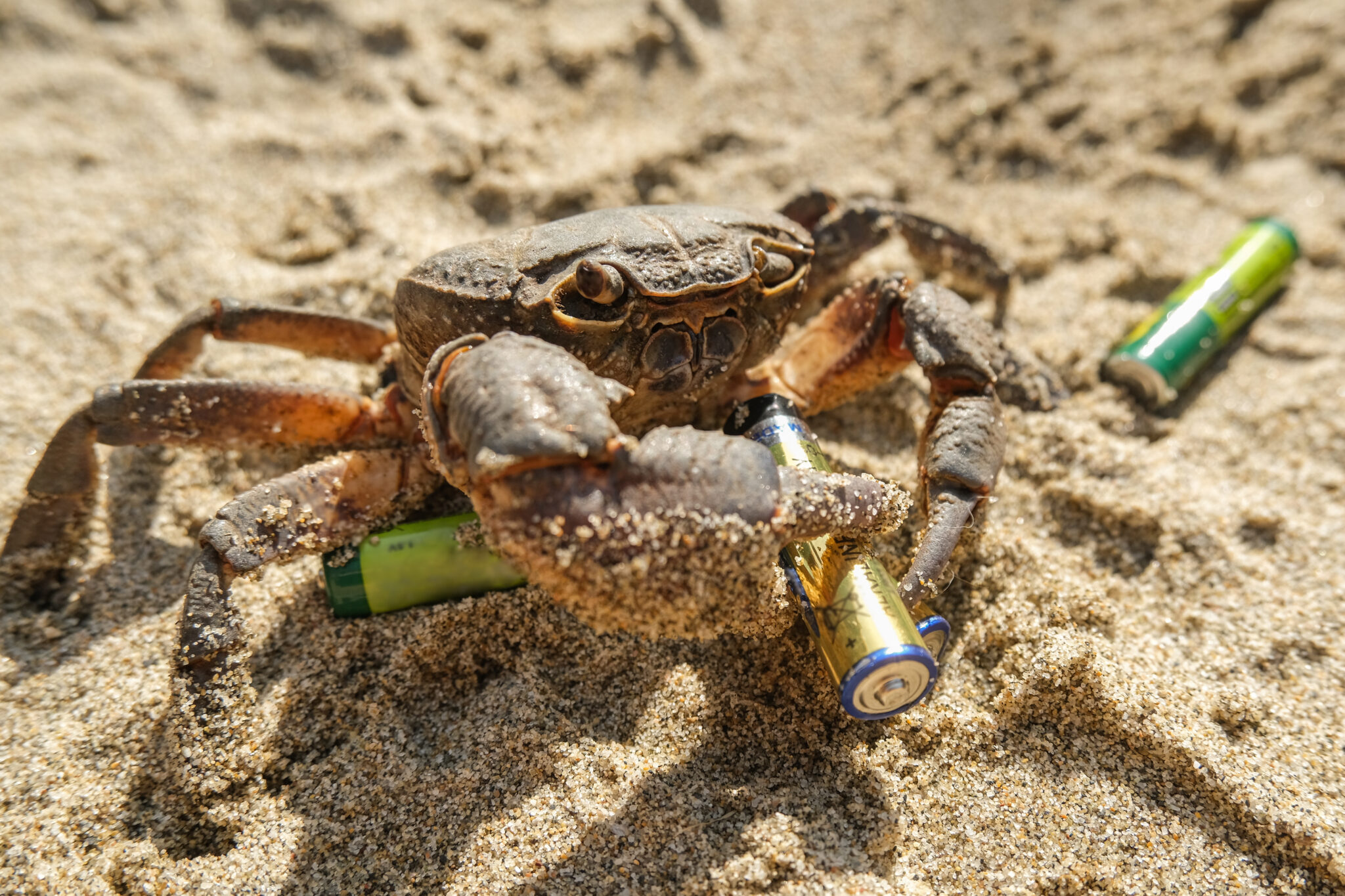 Most Polluted Beaches in the World