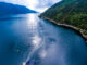 What's the Difference Between Steelhead Trout and Salmon? - American Oceans