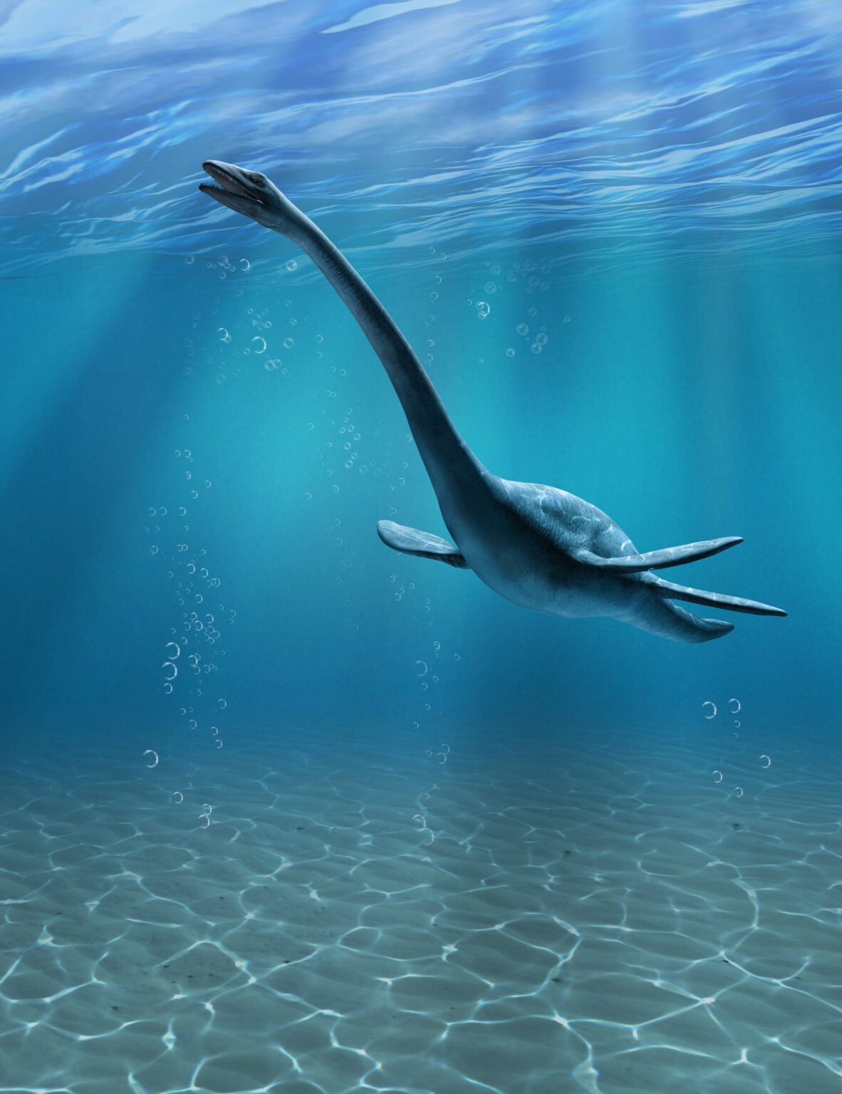 Water Dinosaurs