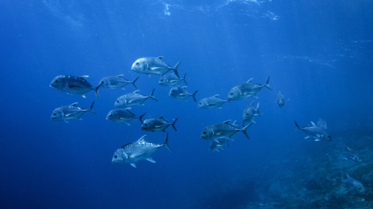 How Deep is the Atlantic Ocean?