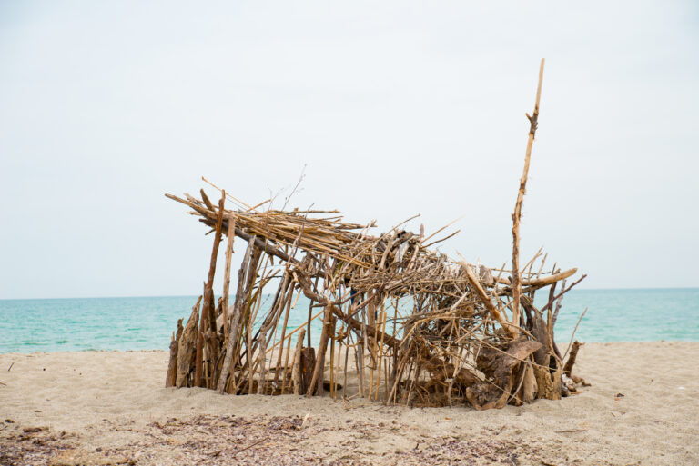 How to Survive on a Desert Island: Expert Tips and Strategies