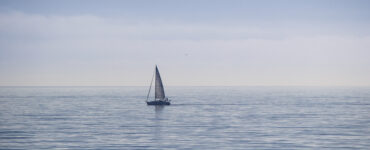 Interesting & Fun Facts About Marine Life - American Oceans