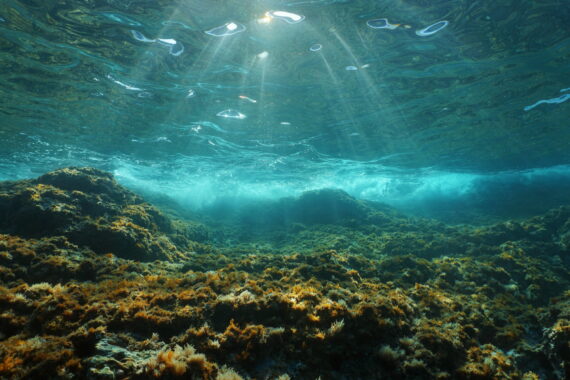 How Deep Light Penetrates the Ocean