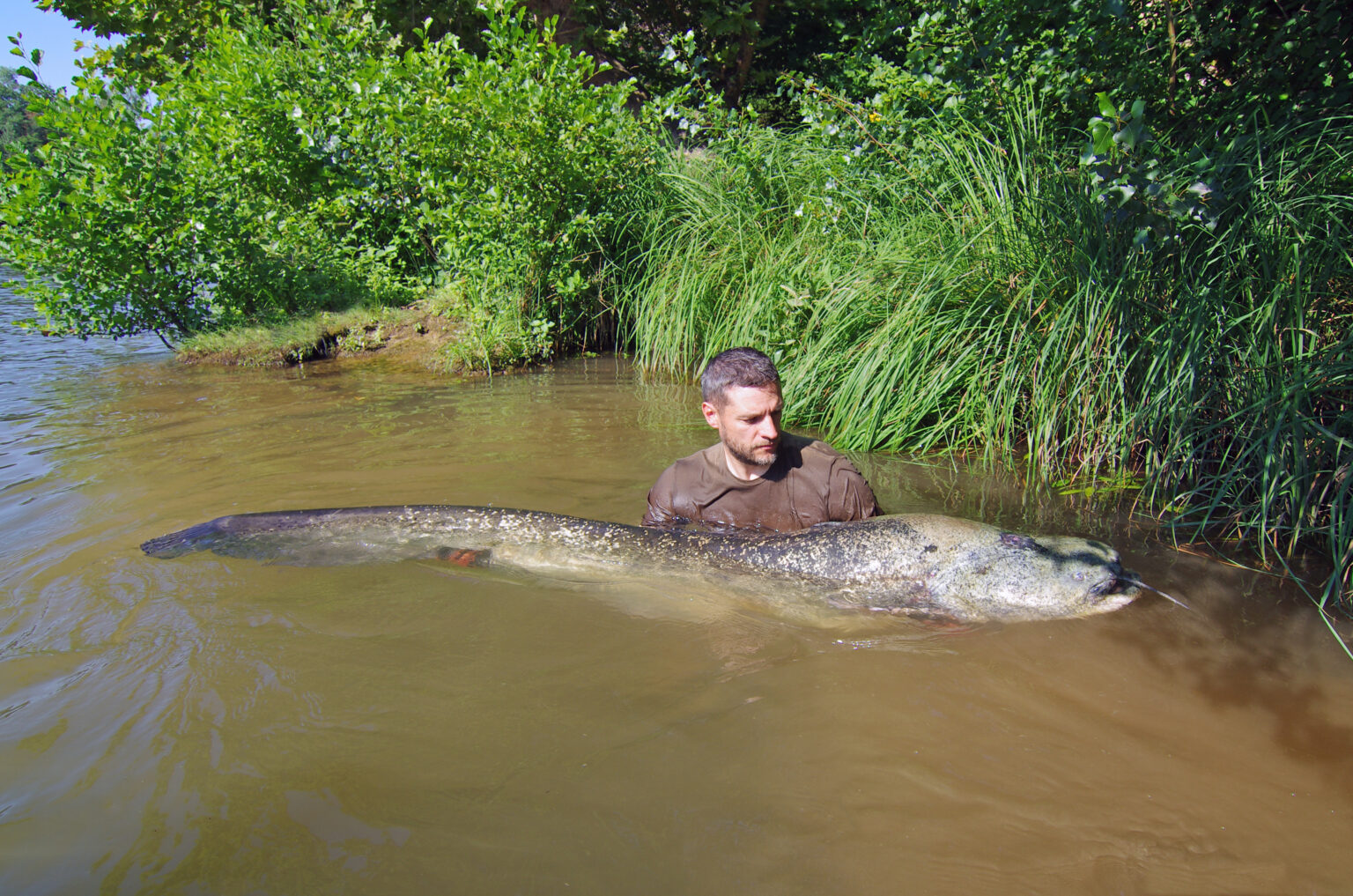 Biggest Catfish Ever Recorded