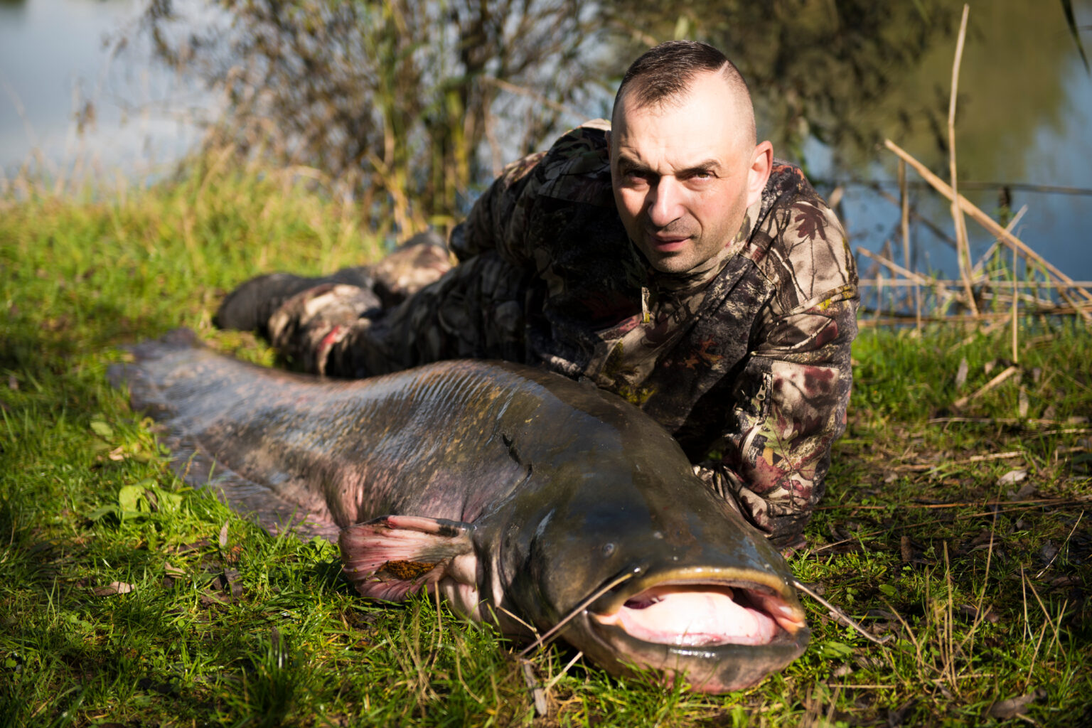 Biggest Catfish Ever Recorded