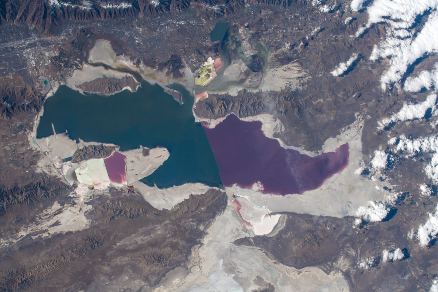 Are There Fish in the Great Salt Lake?