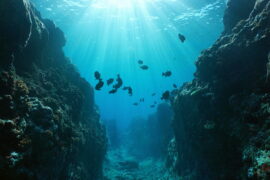 How Deep Light Penetrates the Ocean